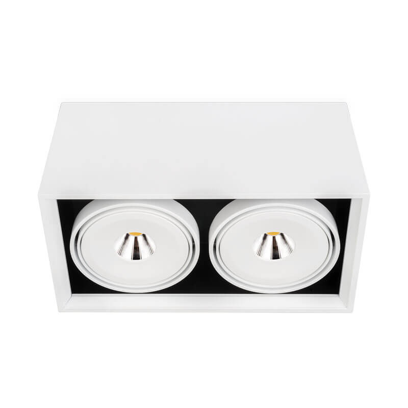 Directional LED spotlight Hubble Double with two lights 16.5W | Aiure