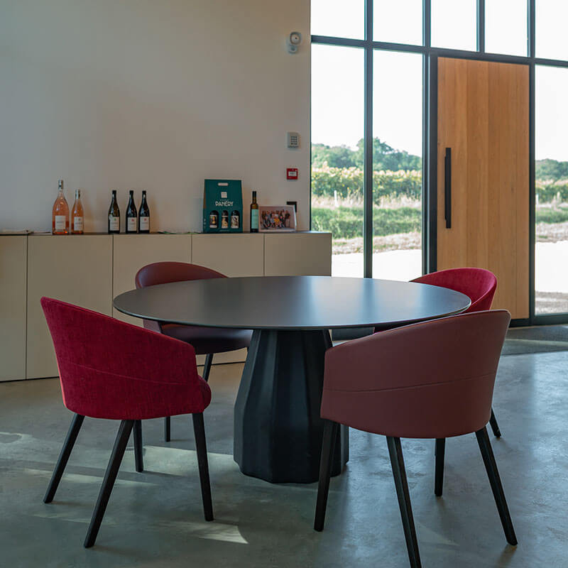 Copa design armchair by Viccarbe | AiureDeco