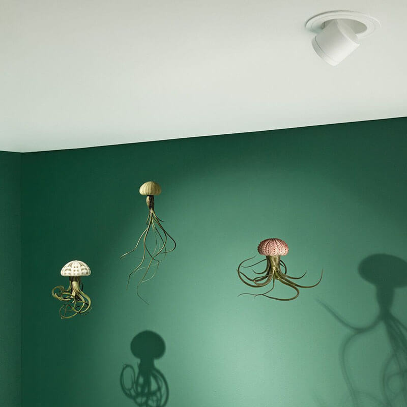 Foco Empotrable LED Pop Up 20º de Arkoslight | Aiure